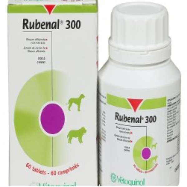 Rubenal : le Protecteur du Rein du Chien - Companimo Blog